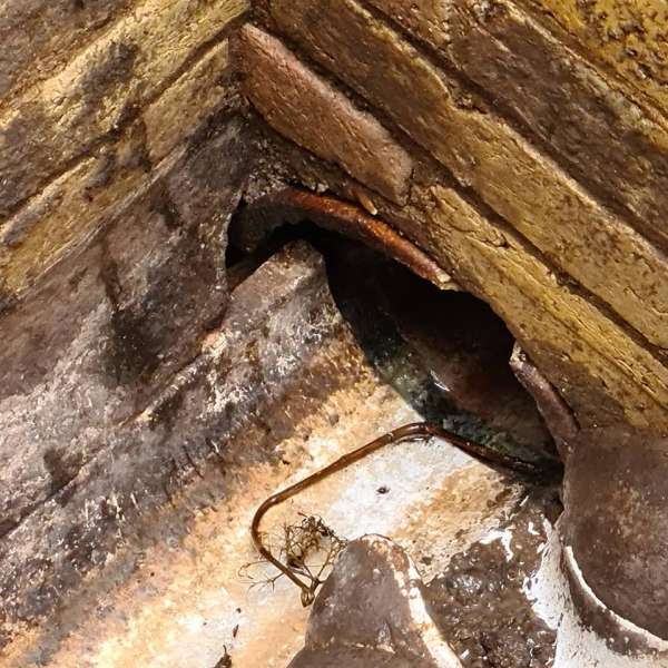 Pest Control – Collapsed drains and sewer systems = Rats – Kent County ...